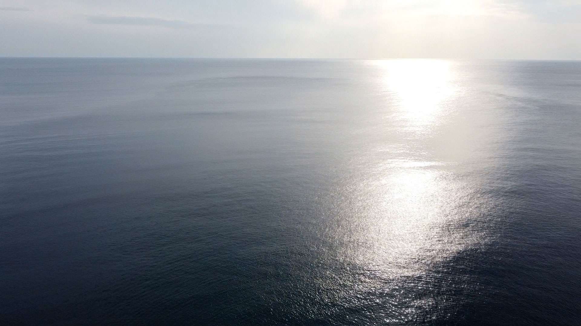 Deception（ディセプション）株式会社 - Freedom as you are